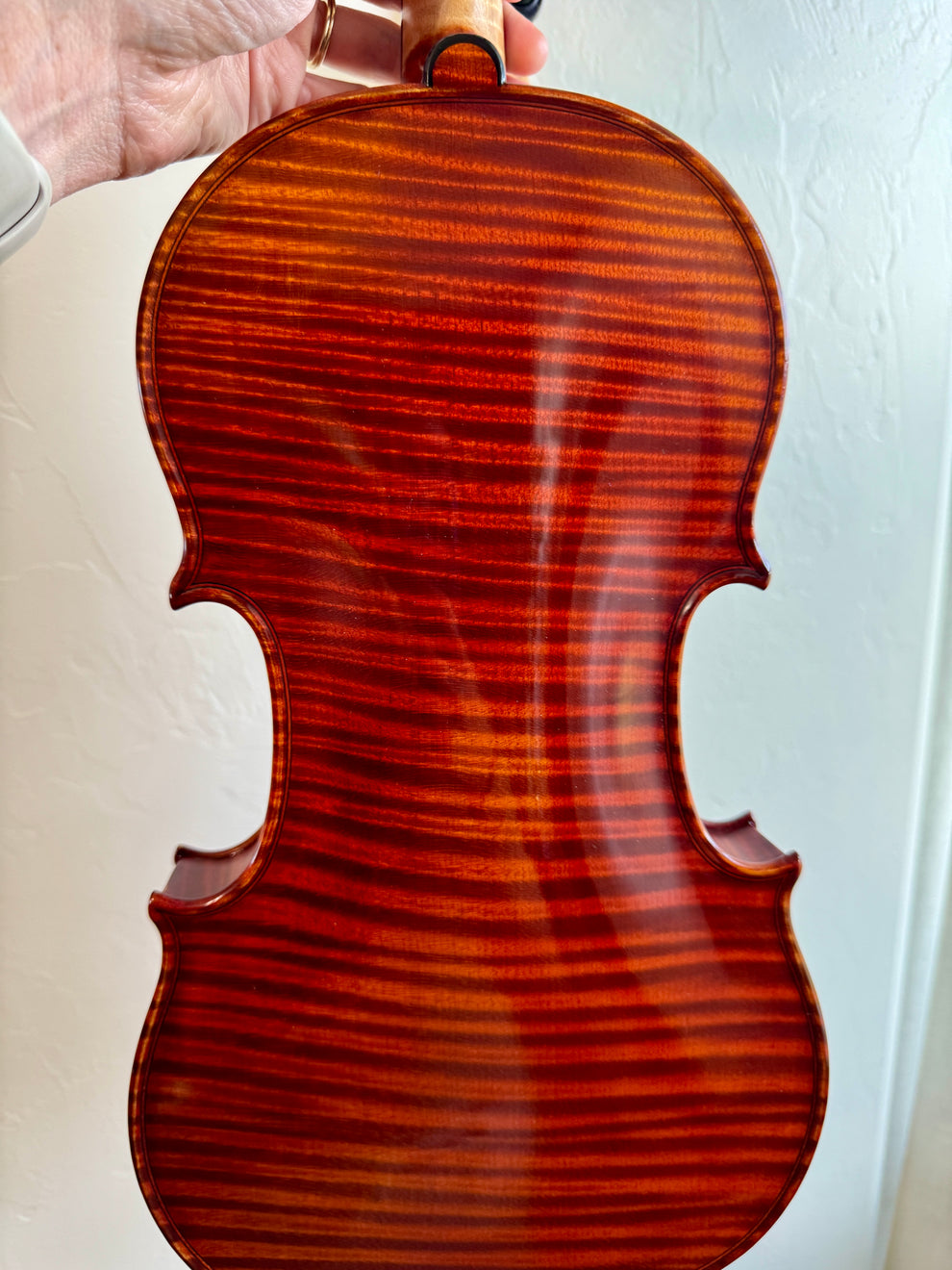 Cremona SV-1500 Maestro Master Violin Outfit – 4/4 Size – Snake River ...