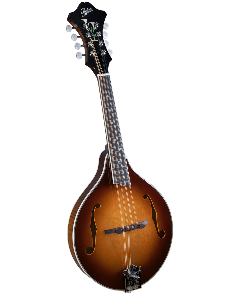 Rover RM-80S Mandolin – Snake River Strings Co.- Marketplace